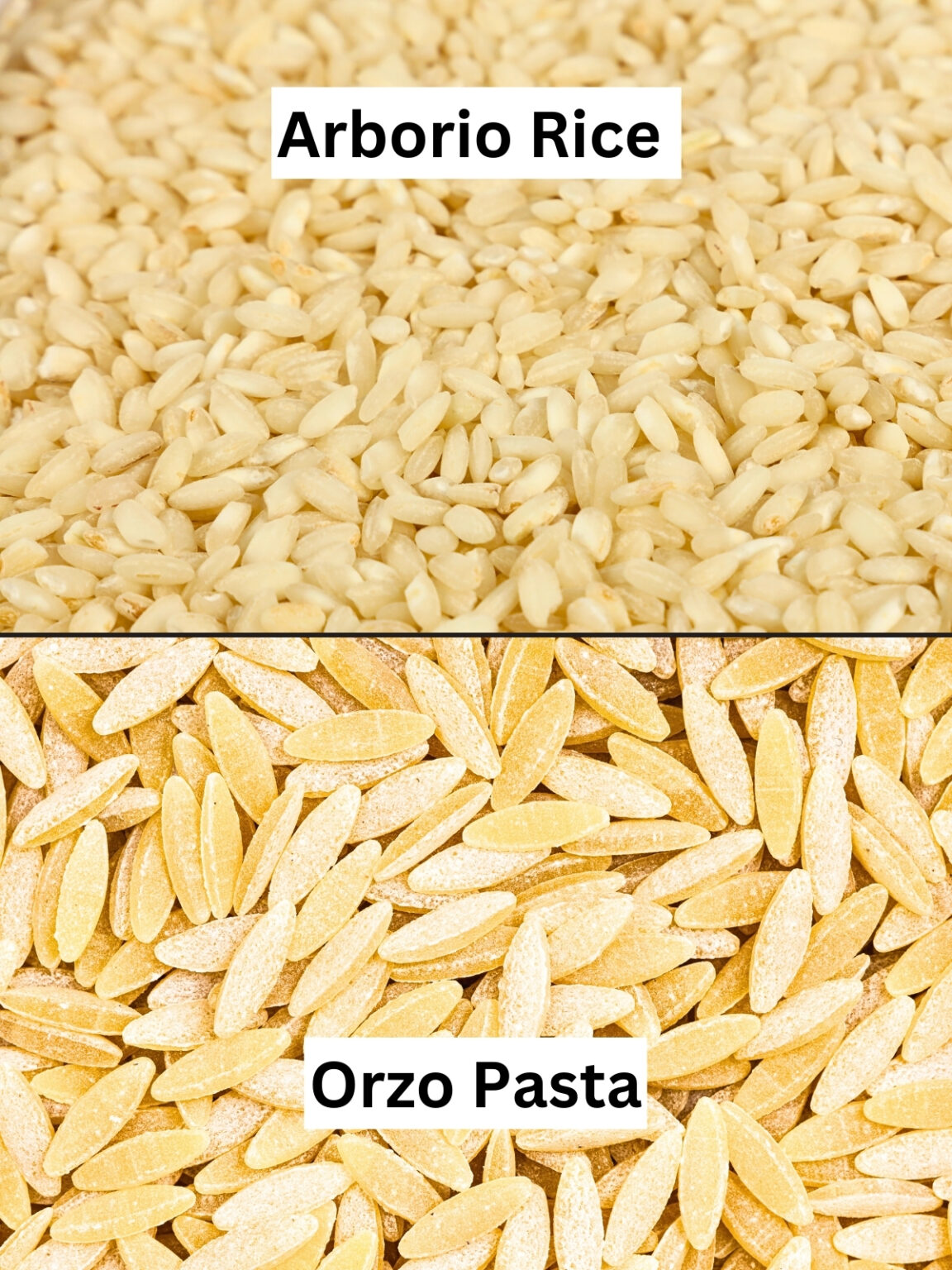 What Is Arborio Rice And How To Cook It | The Perfect Rice