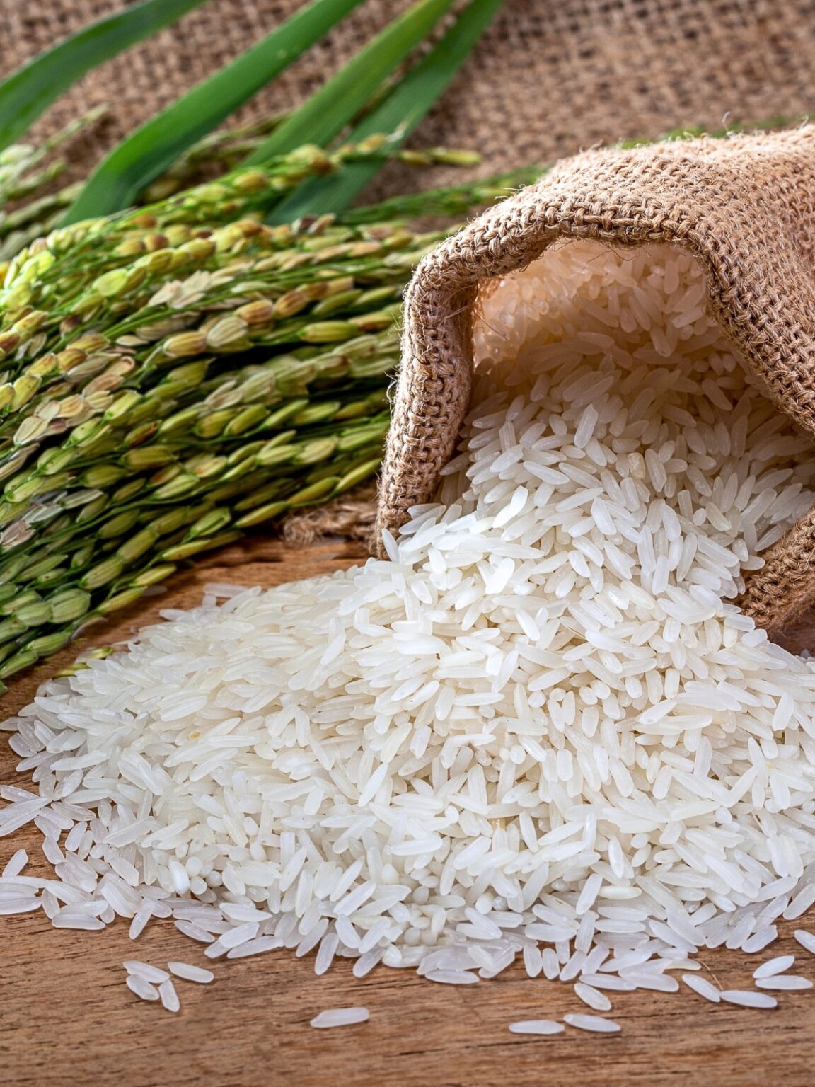 What Is Basmati Rice And Why It's A Culinary Gem | The Perfect Rice