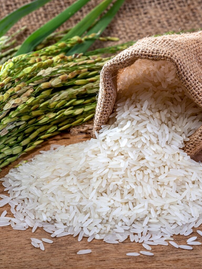 What Is Basmati Rice And Why It's A Culinary Gem | The Perfect Rice
