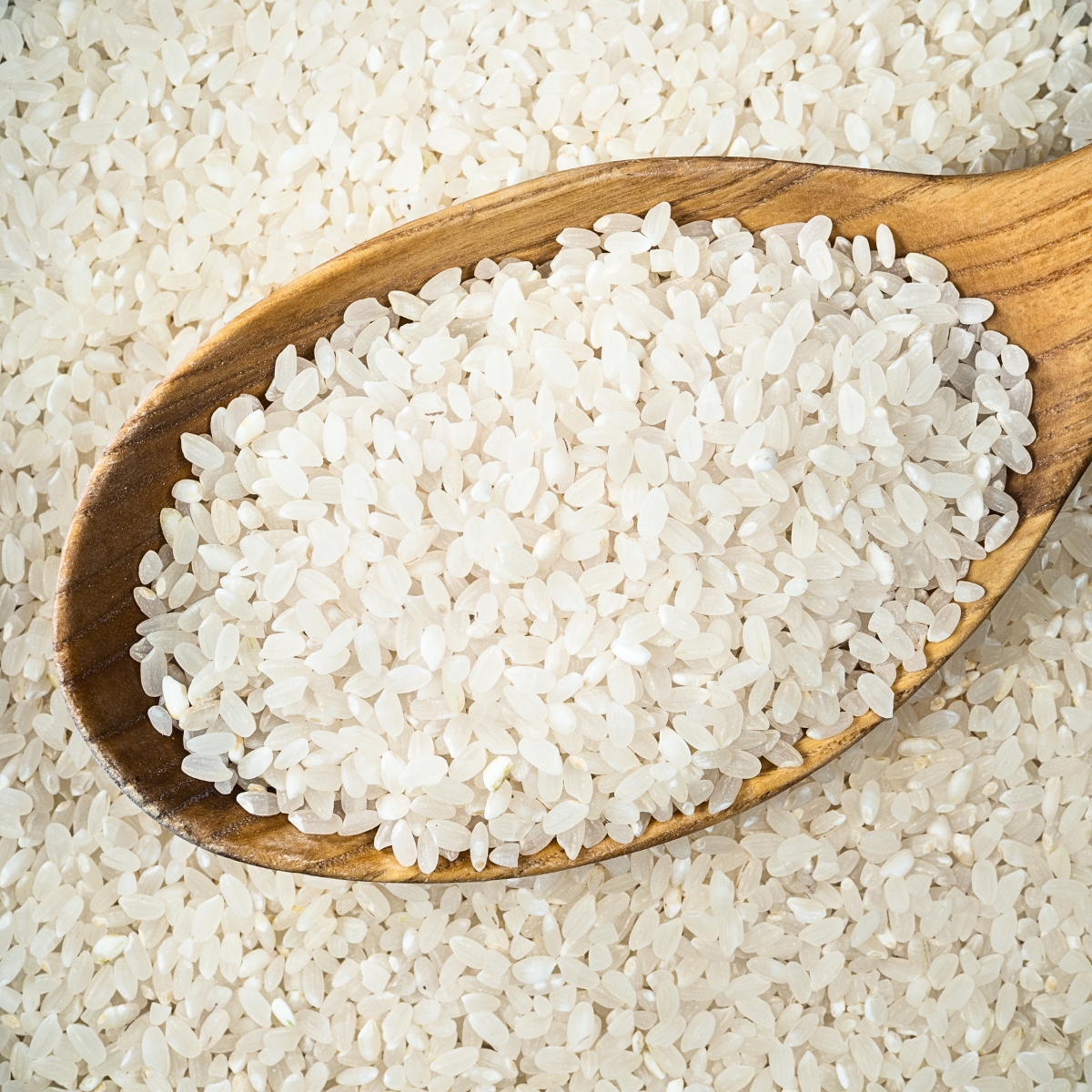Exploring Medium-Grain Rice Varieties | The Perfect Rice