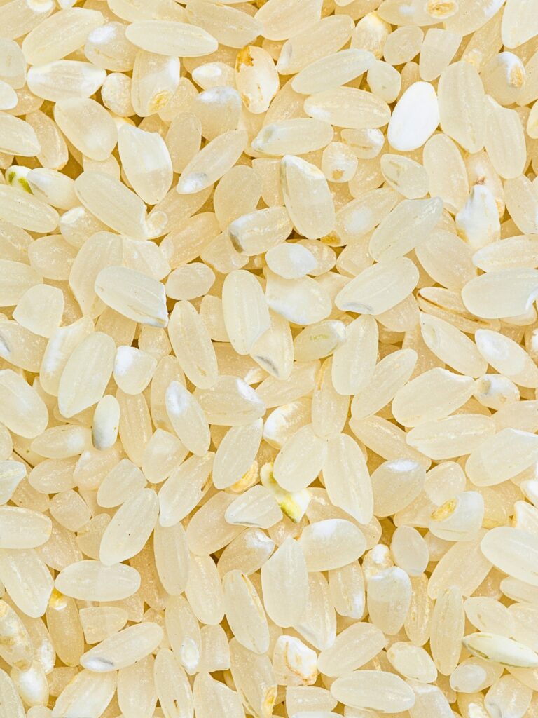 Exploring Medium-Grain Rice Varieties | The Perfect Rice